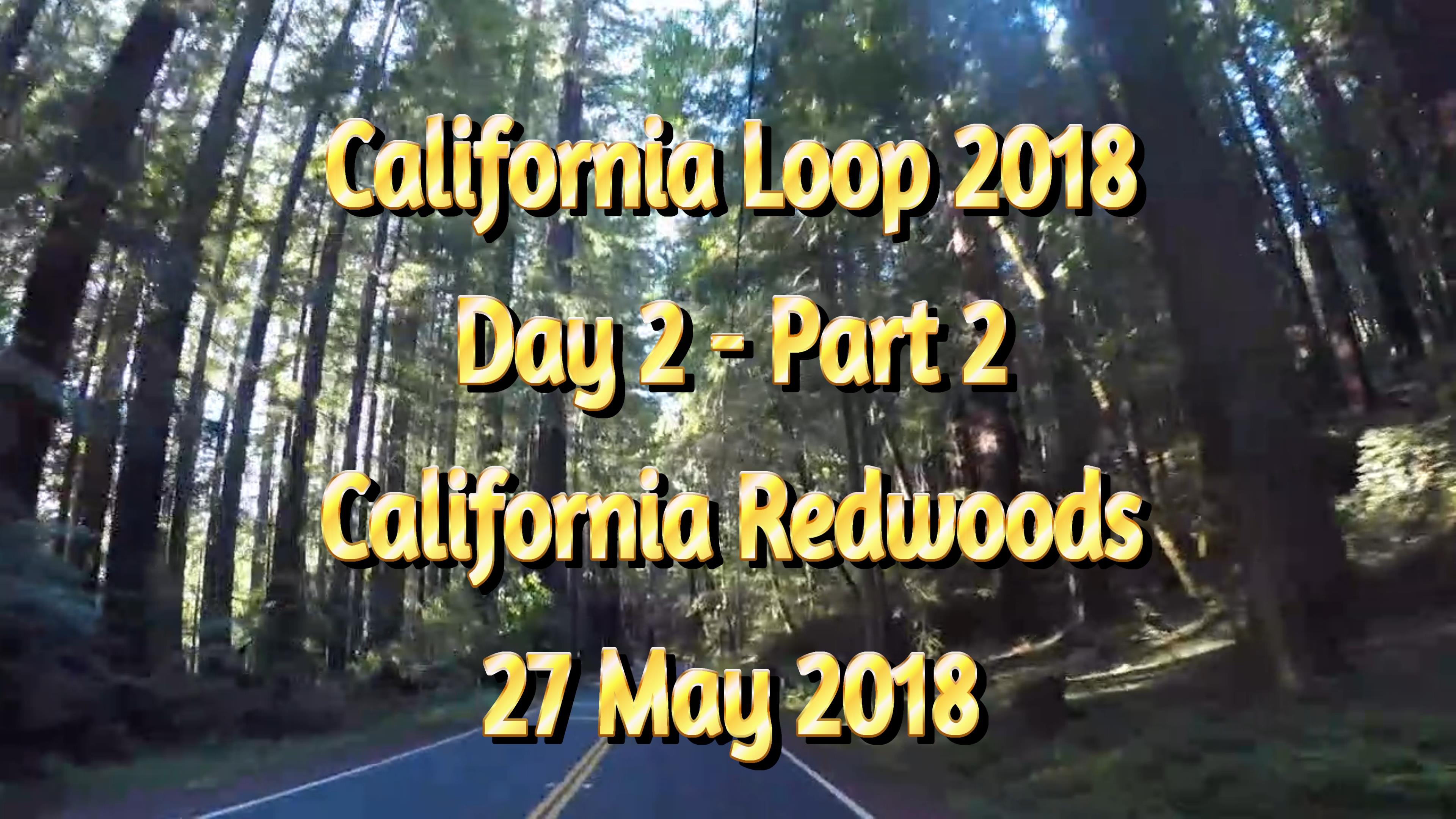 California Loop 2018 Day 2 Part 2 – Redwoods | Wanderlust Lyfe